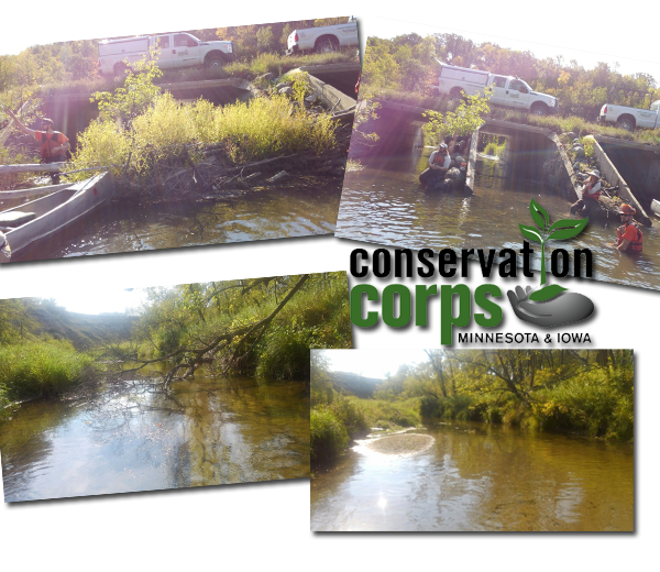 River Clean Up Project # 9